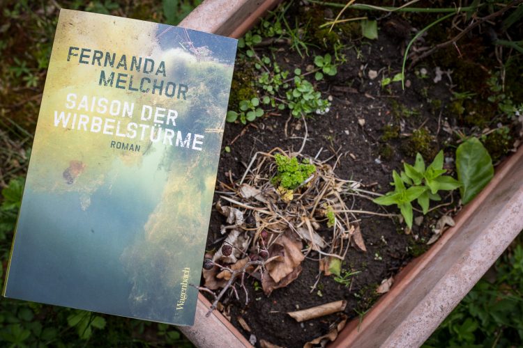 Saison der Wirbelstürme - Fernanda Melchor - Lesefreude